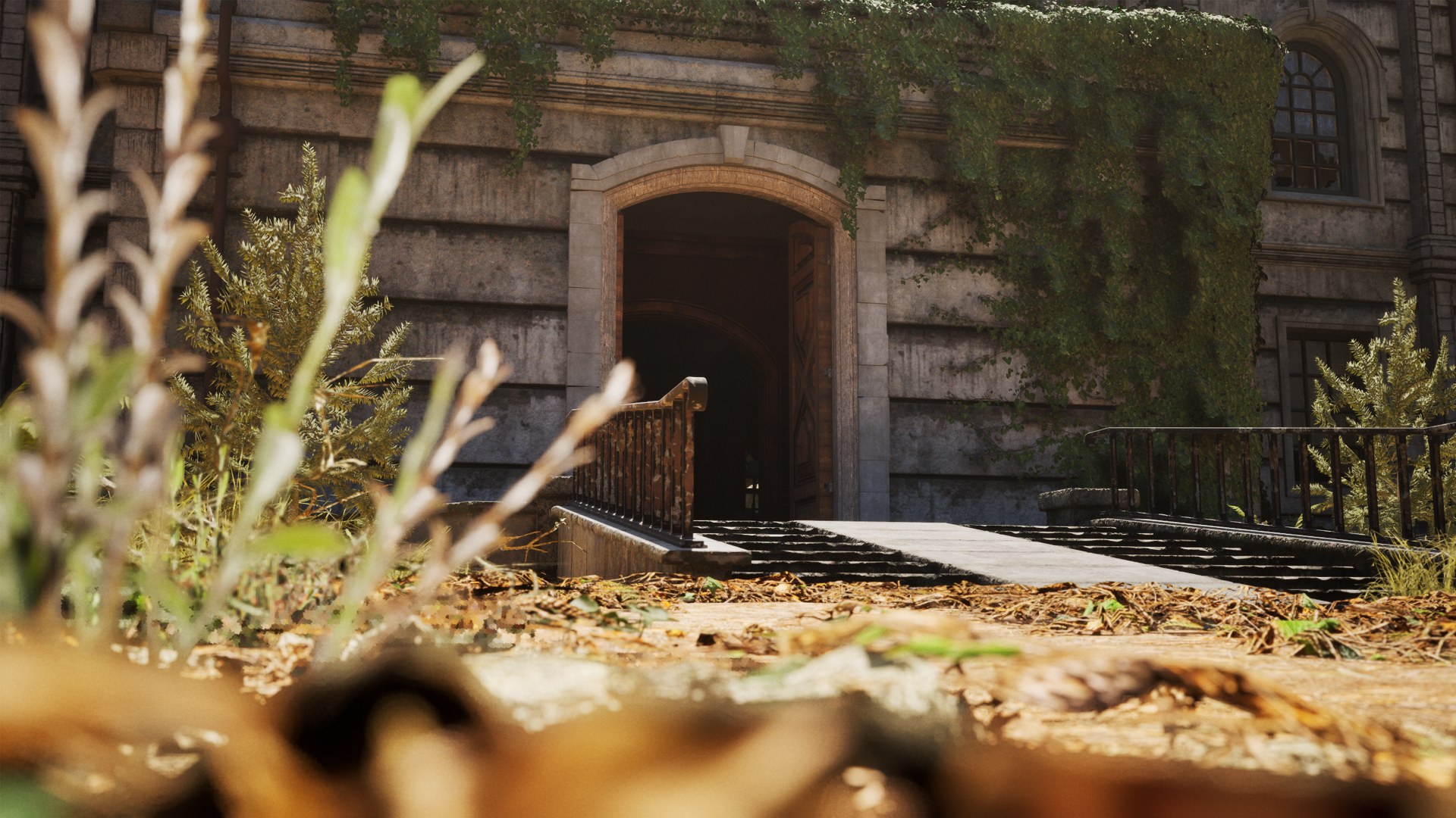 Everything you need to know before launching the first alpha