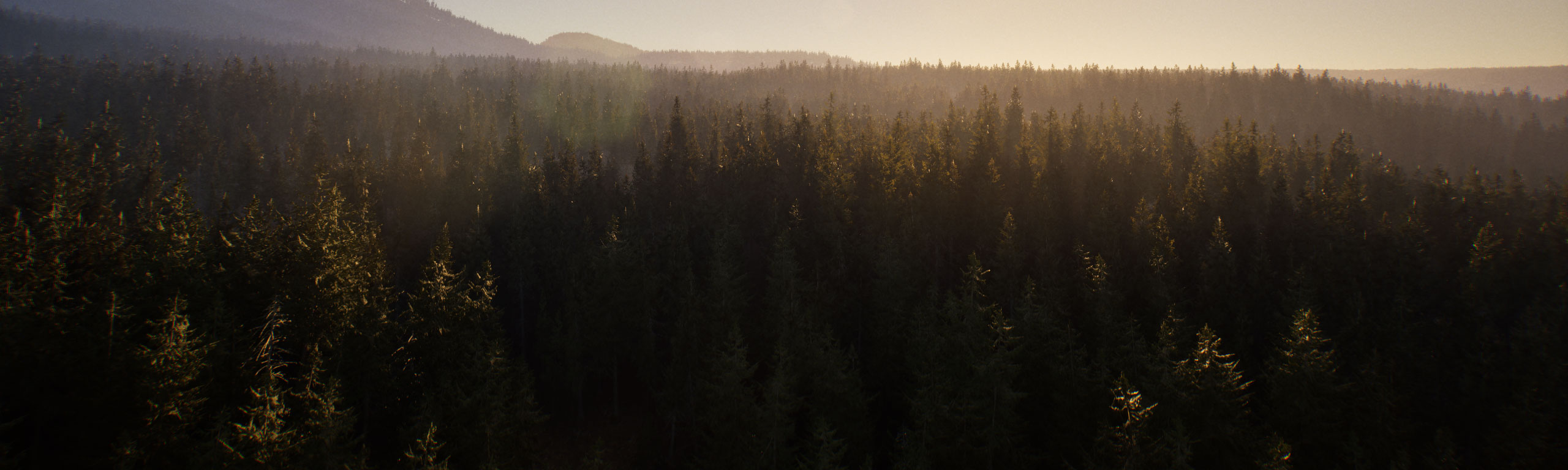 Open World Technical Overview