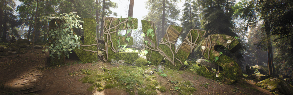 Latest Updates from Rooted